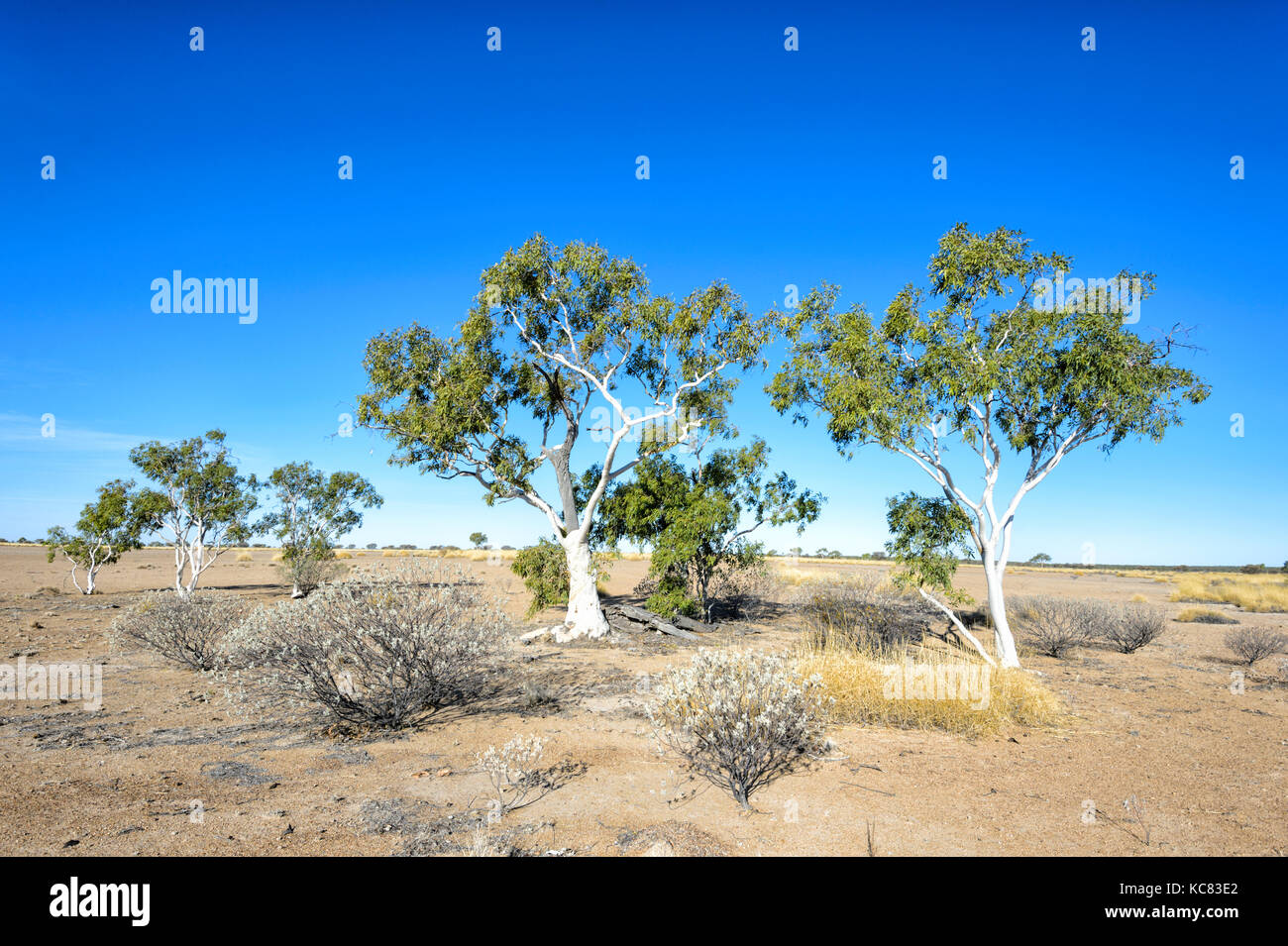 Drought in the Outback near Winton, Central West Queensland, QLD ...