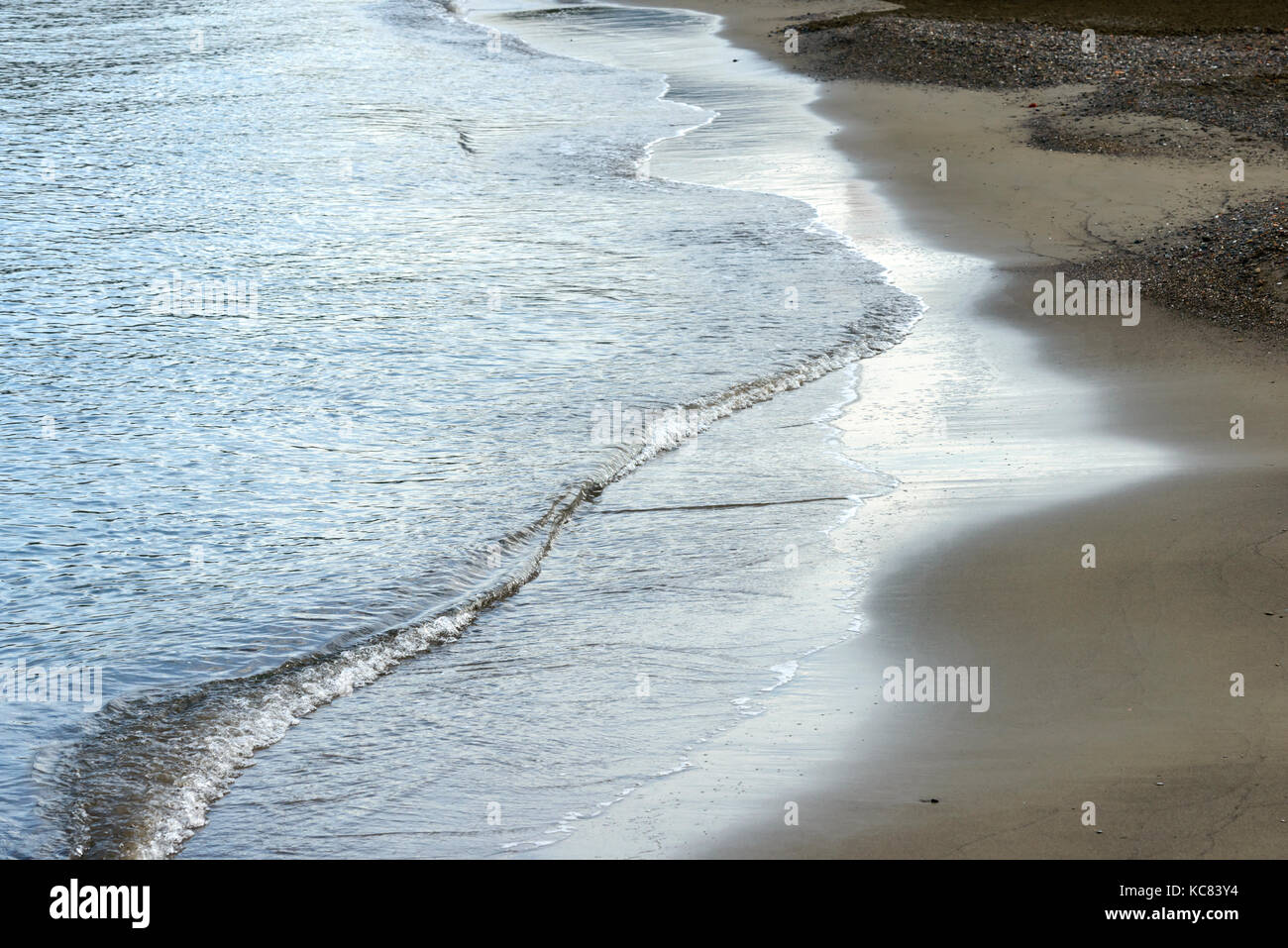 frothy water on foreshore, shot in bright late summer light at ...
