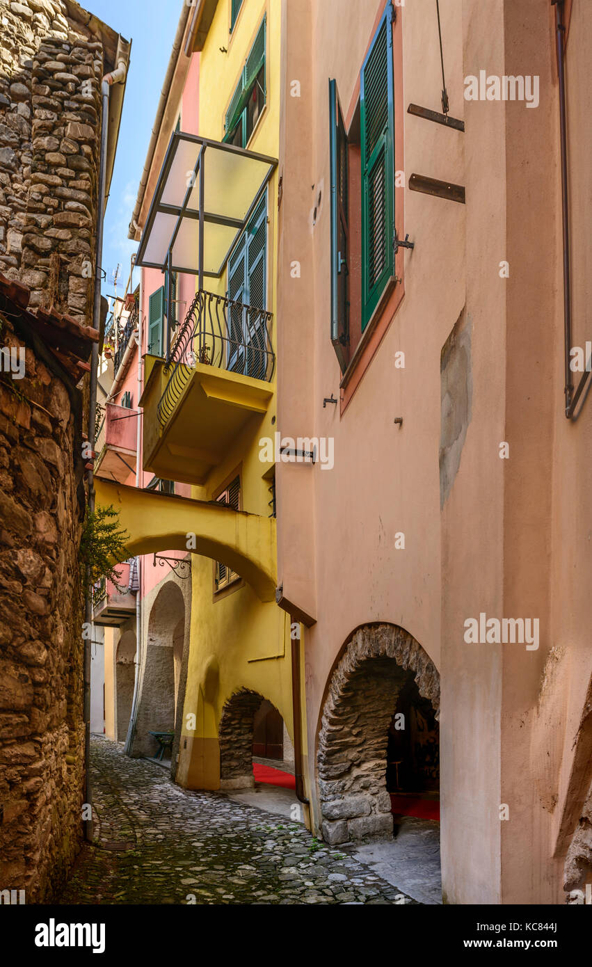 foreshortening of arched covered walkway under old picturesque bending ...