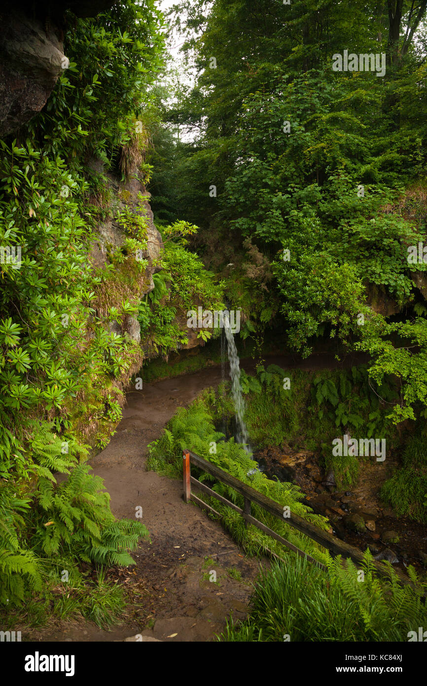 Maspie Den waterfall in Falkland Estate Fife Scotland Stock Photo - Alamy