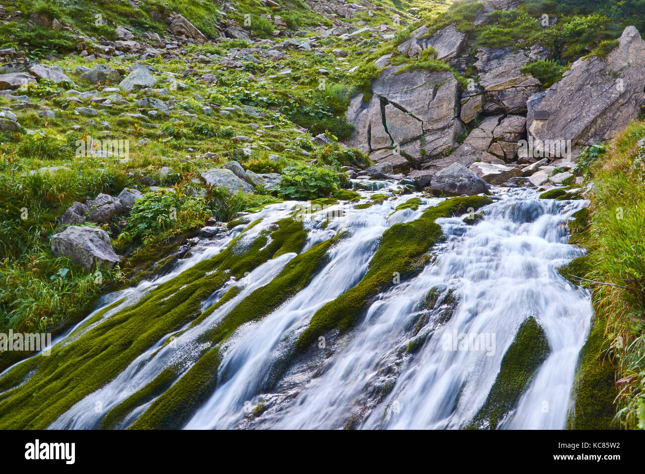 waterfall on moss Stock Photo - Alamy