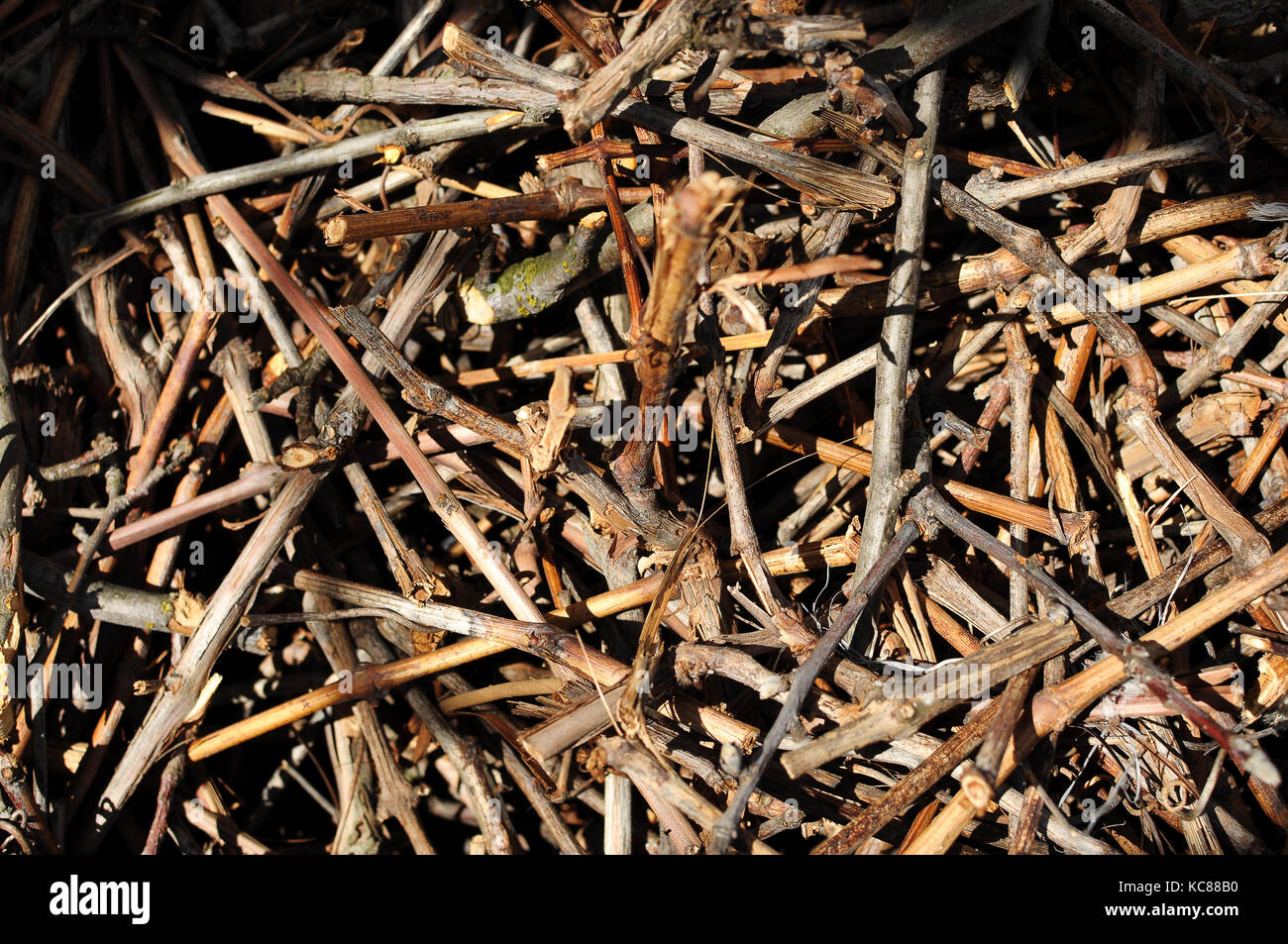 Pile Of Twigs Clipart