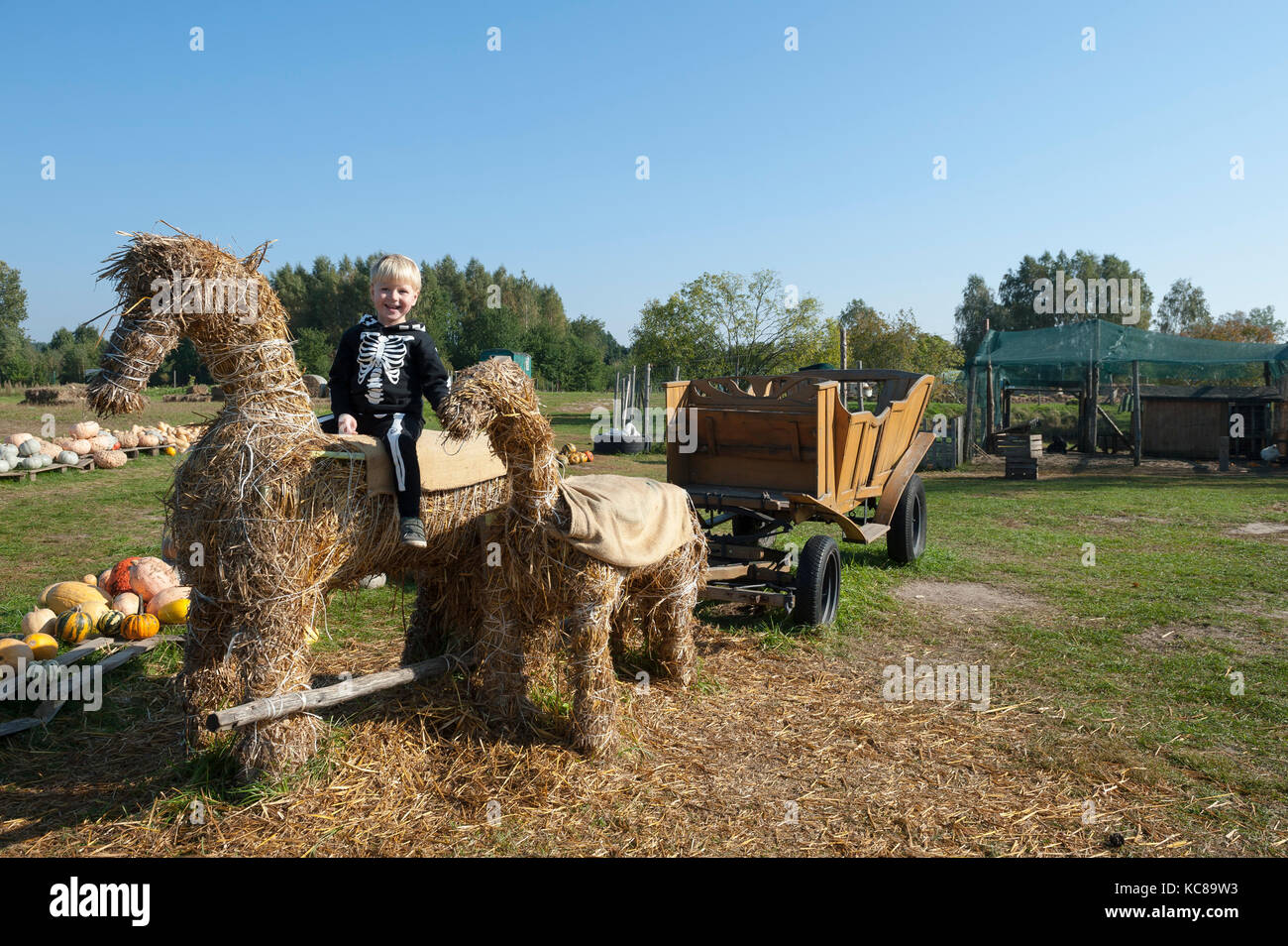 Boy wearing skeleton costume sitting on a hay horse Stock Photo - Alamy