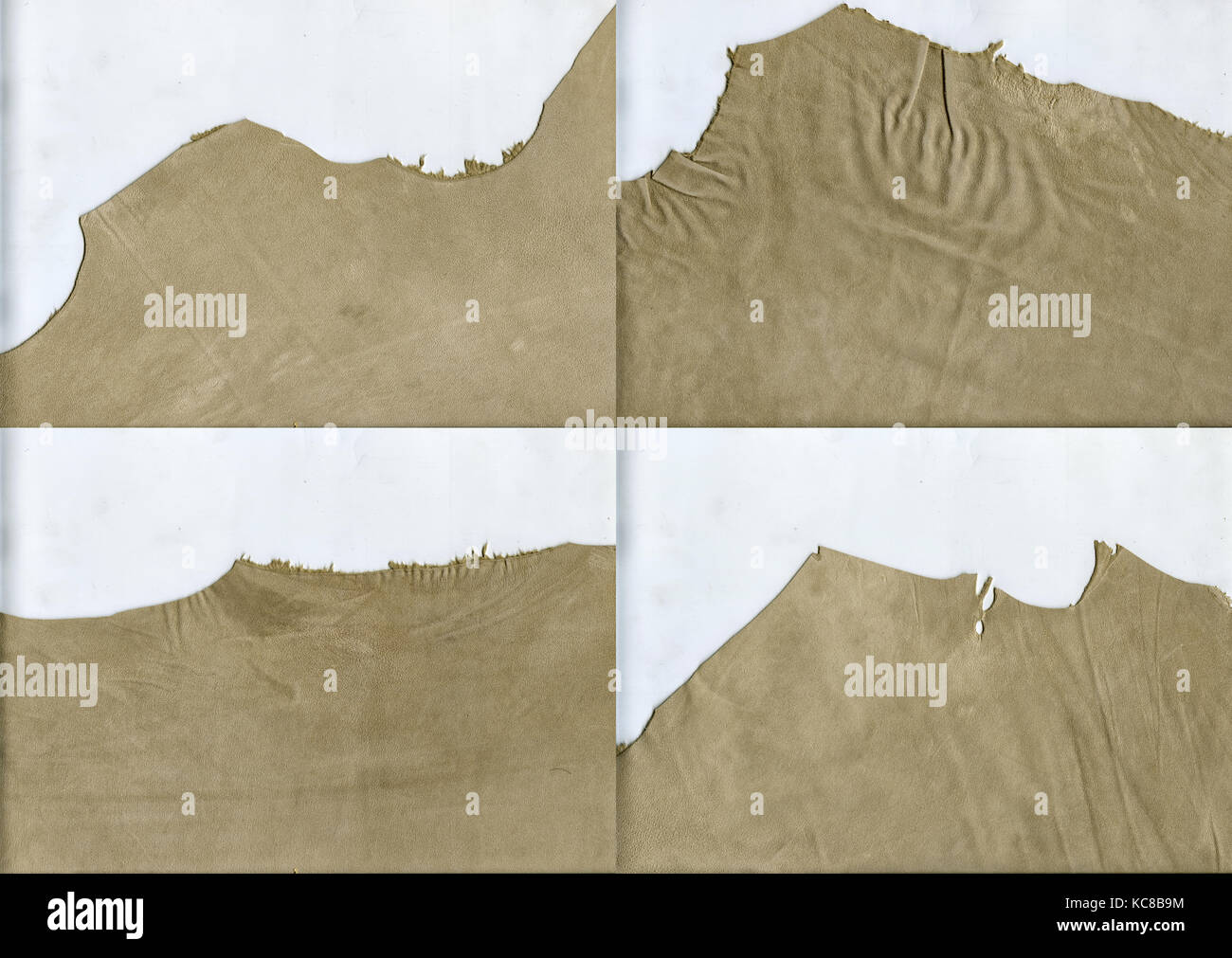 Set of ragged edges beige leather texture Stock Photo - Alamy