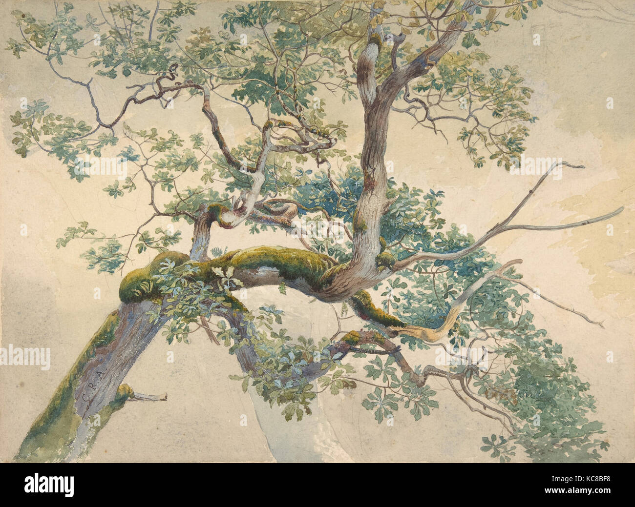 Watercolor over graphite hi-res stock photography and images - Alamy