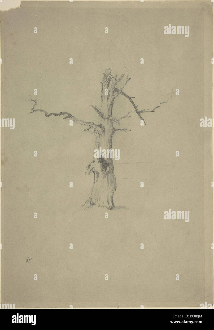 Study of a Dead Tree, 1840–99, Graphite, sheet: 9 15/16 x 6 7/8 in. (25 ...