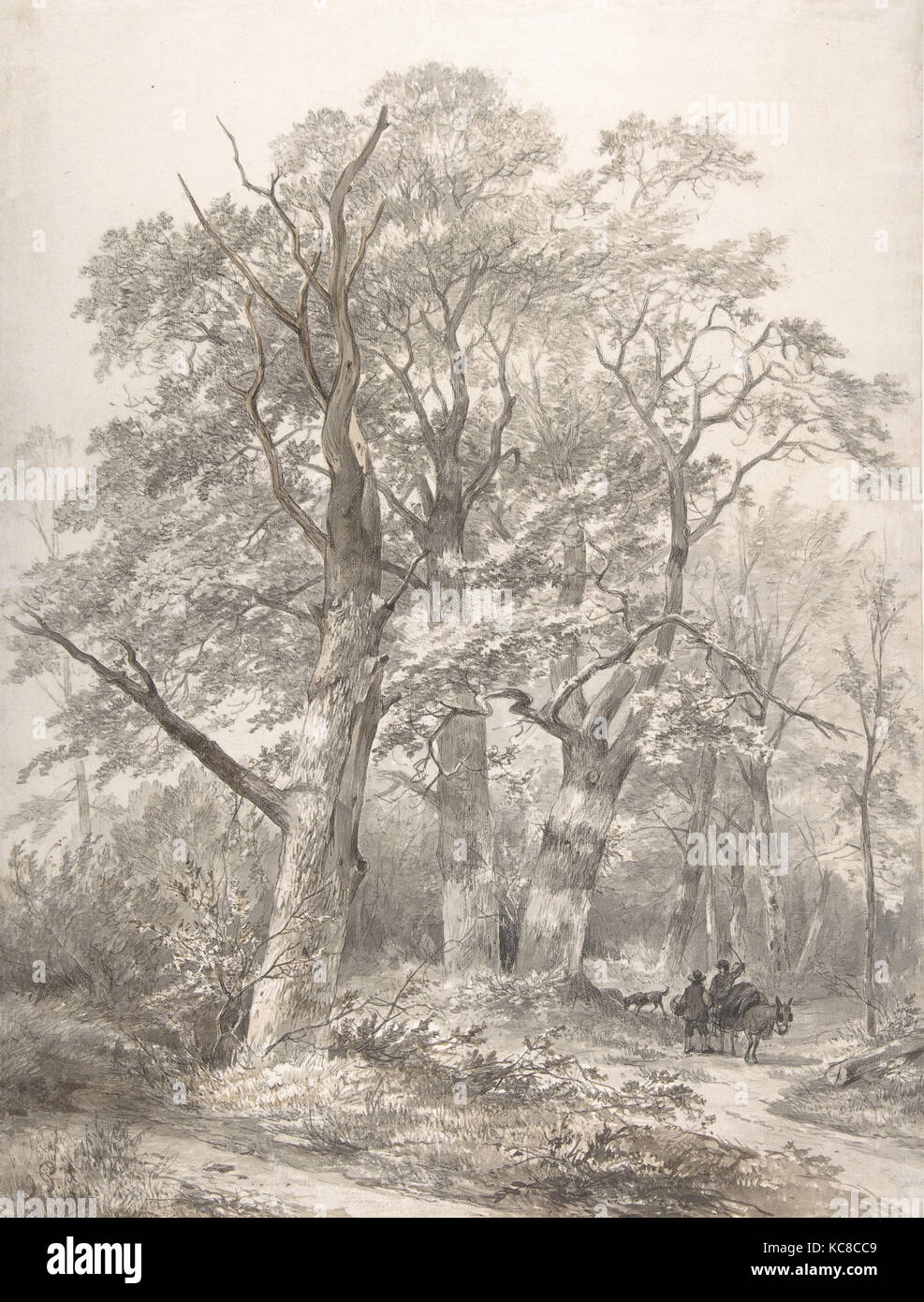 Pelgrom hi-res stock photography and images - Alamy