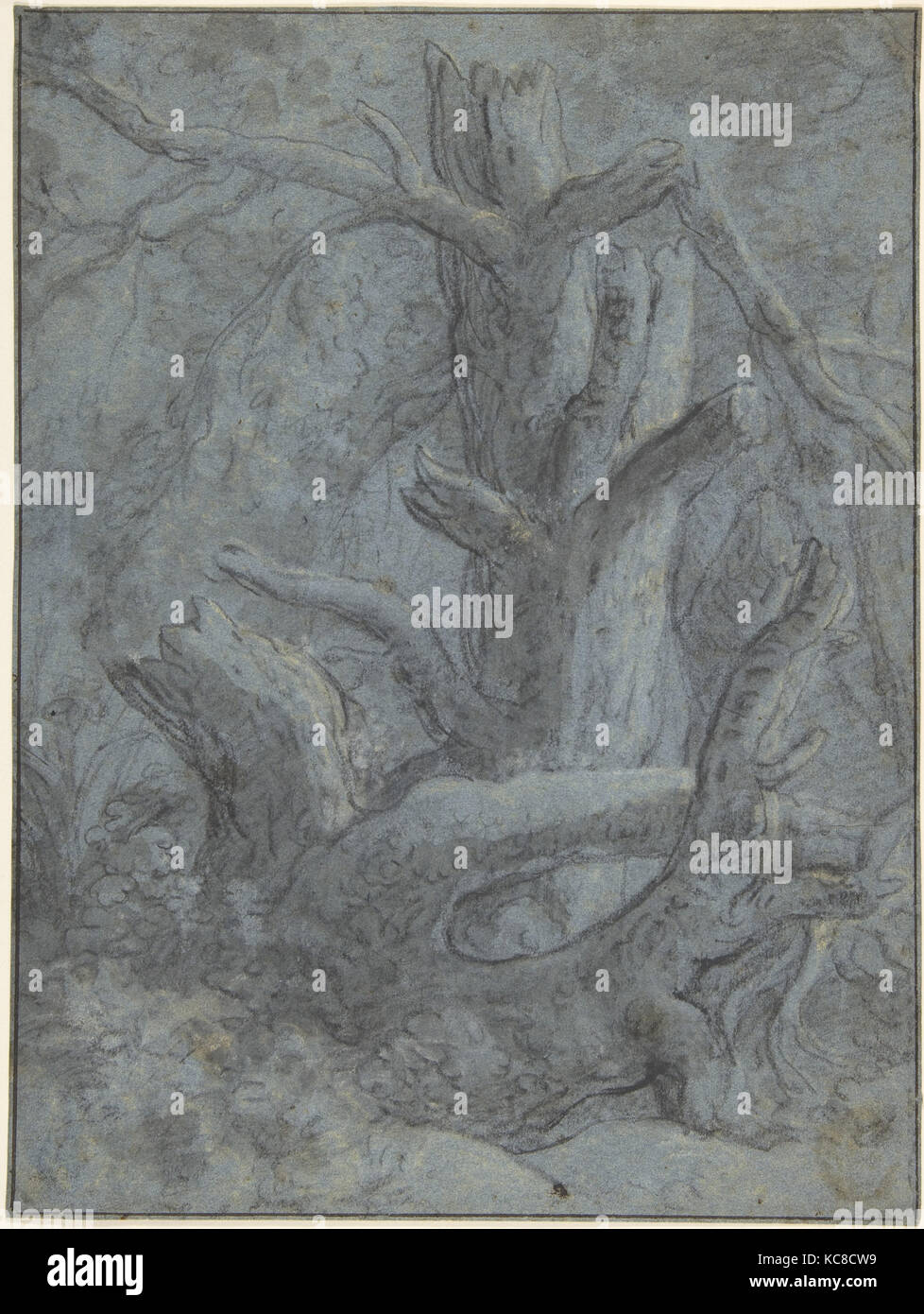 Blasted tree hi-res stock photography and images - Alamy