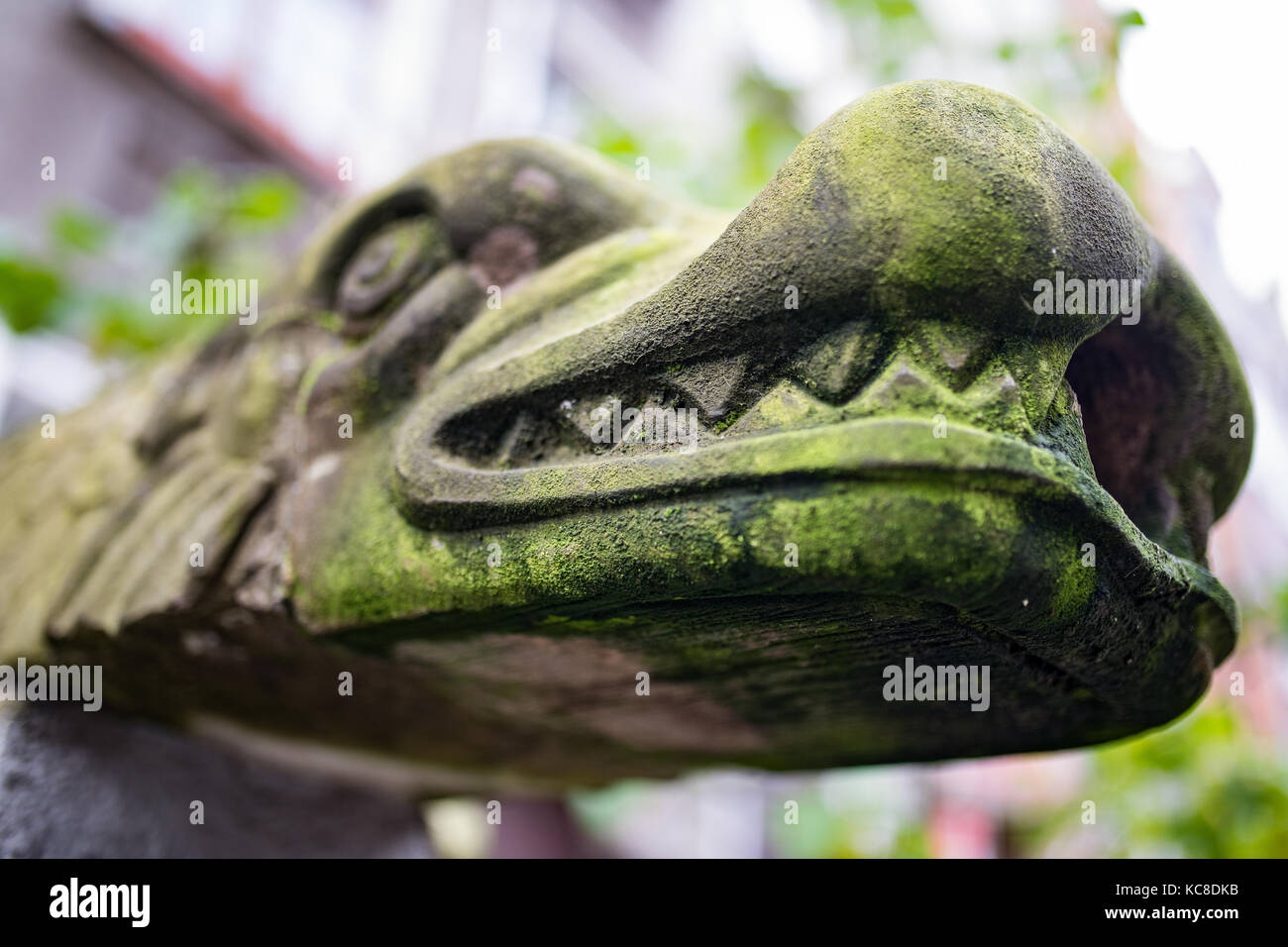 Ornaments, mouldings, gargoyle, low reliefs in a sandstone, granite ...