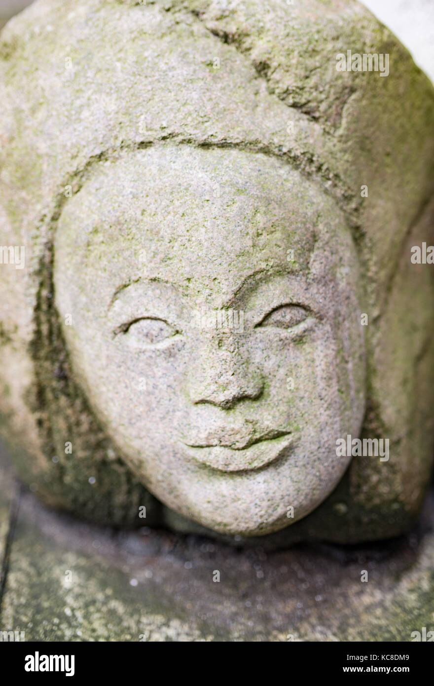 Ornaments, mouldings, gargoyle, low reliefs in a sandstone, granite ...