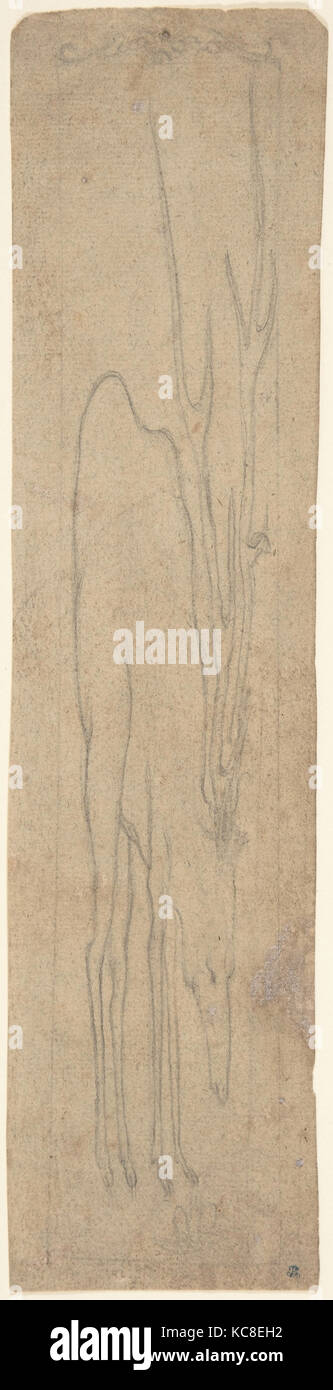 Anamorphic Print Outs