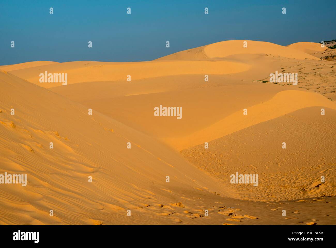 Asia, Vietnam, Mui Ne, travel, experience, adventure, tourism Stock ...