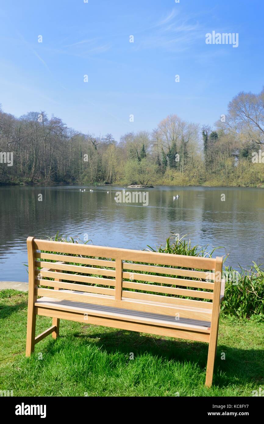 Empty wooden bench overlooking lake Stock Photo - Alamy