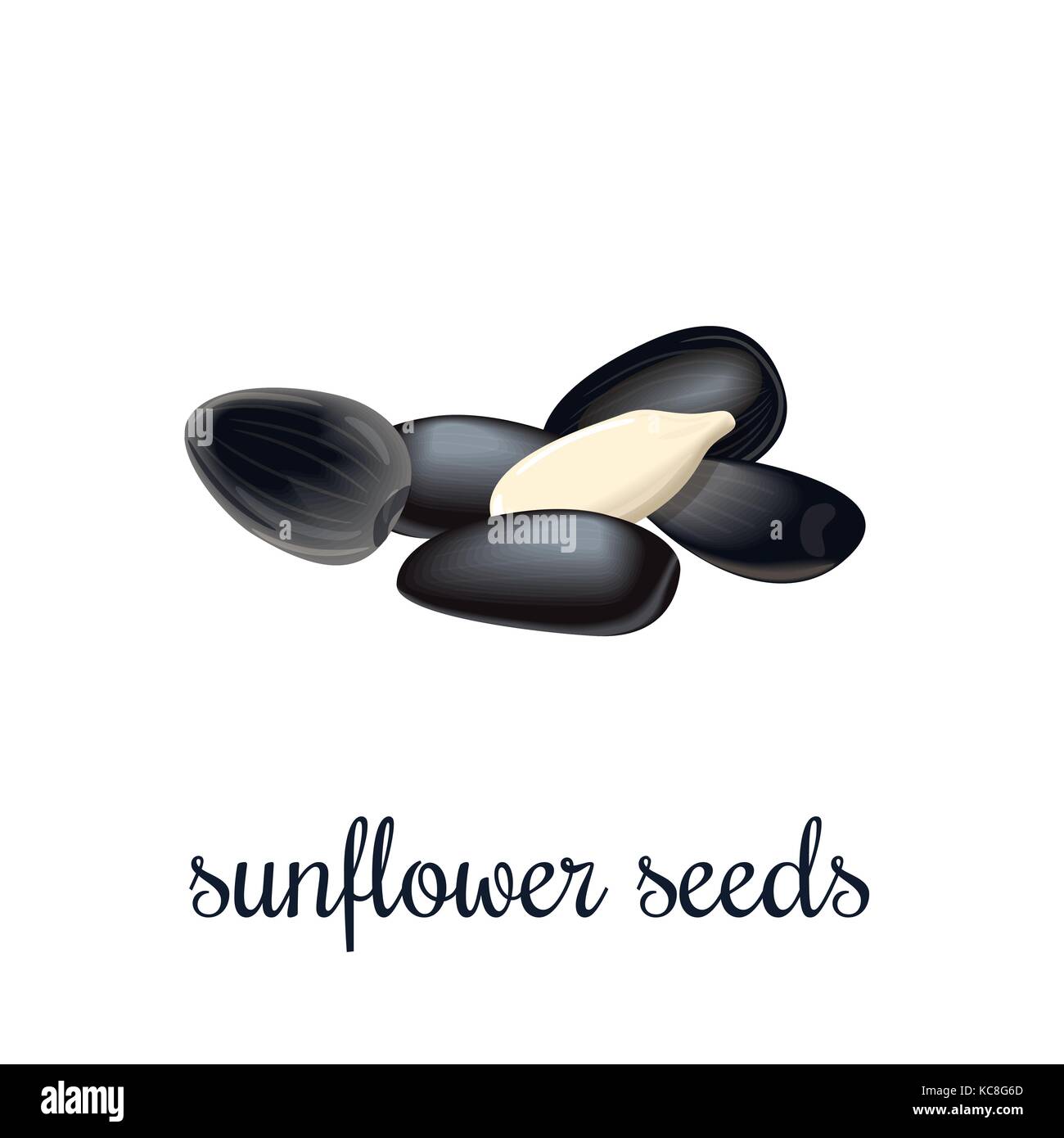 Sunflower seeds color icon in cartoon design Stock Vector Image & Art ...