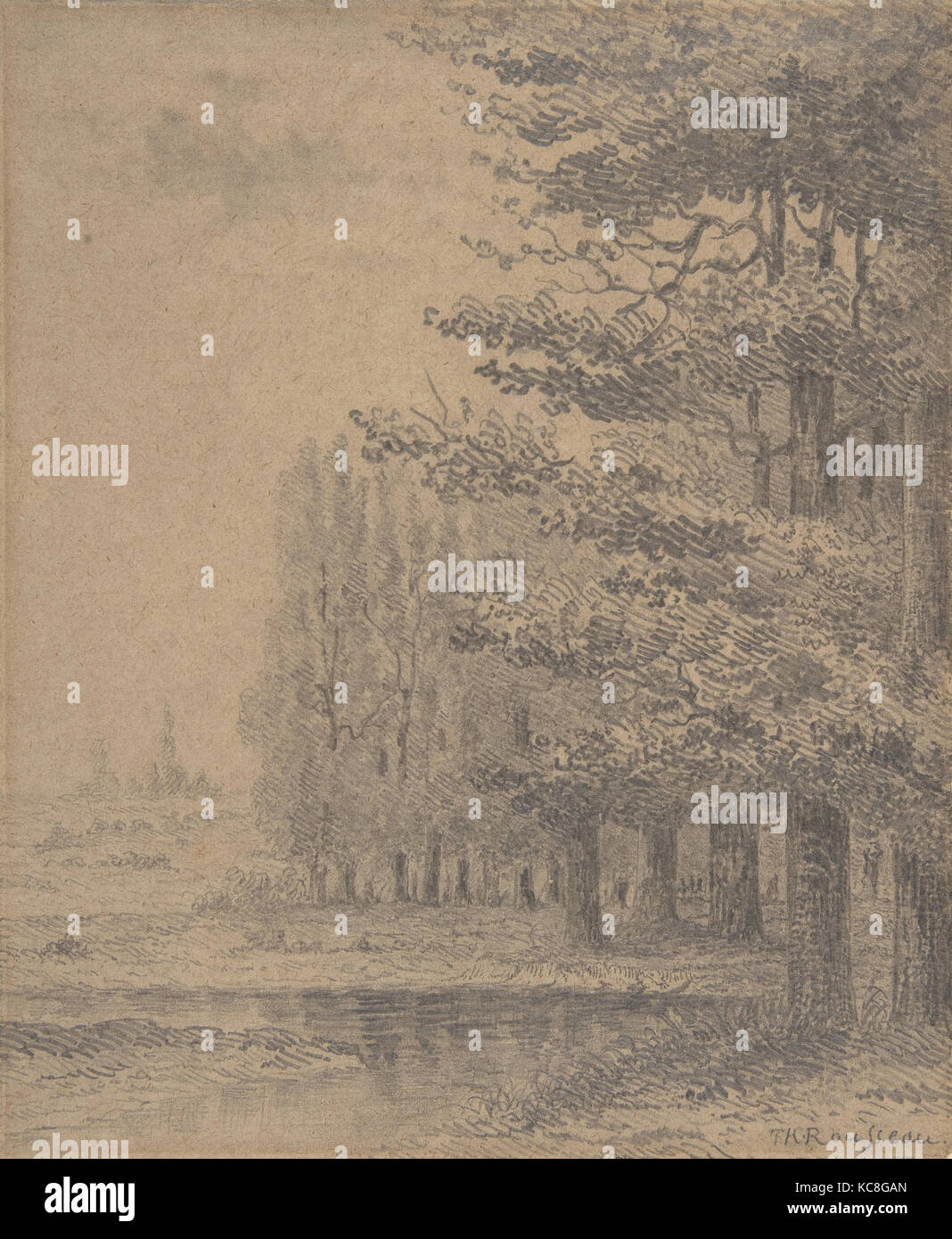 Landscape (A Grove of Trees Standing Near a River), Attributed to ...