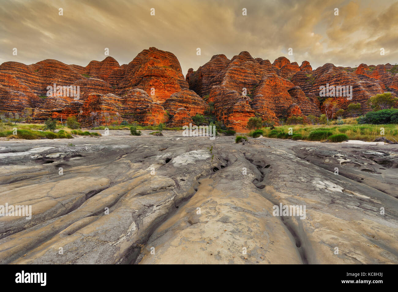 The Beehive Domes of Purnululu National Park in morning glow Stock ...