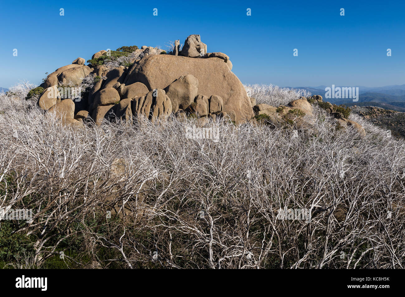 Rock formation of The Castle in Mount Buffalo National Park Stock Photo ...