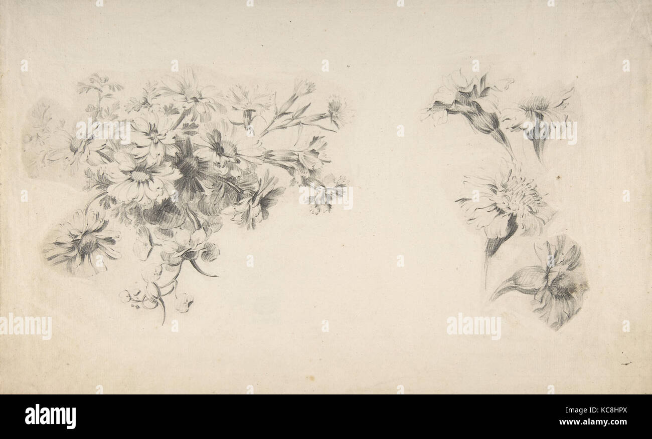 Studies of Flowers, Anonymous, French, 18th century Stock Photo - Alamy