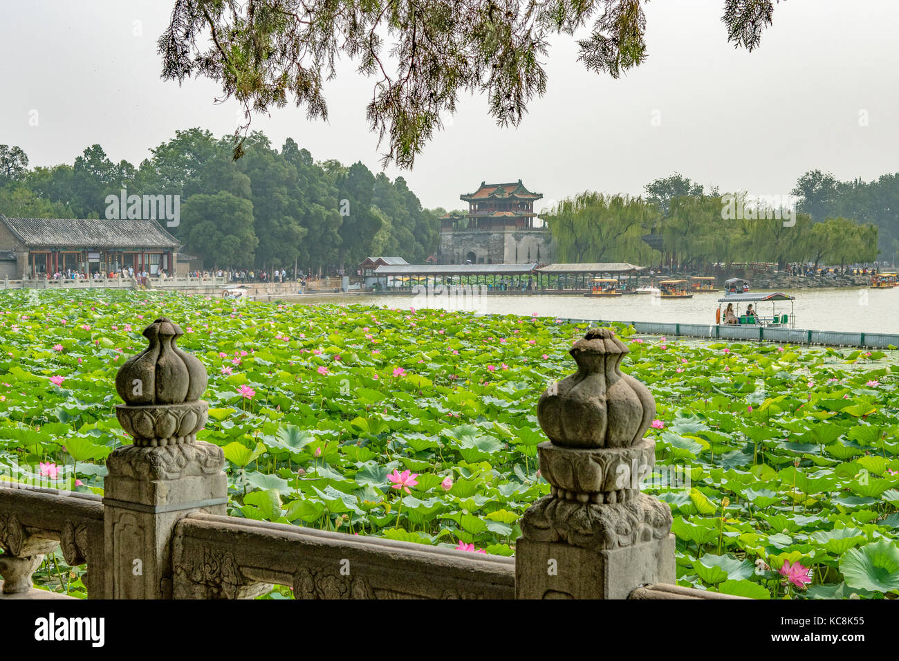 Summer Palace Beijing Flowers High Resolution Stock Photography and ...
