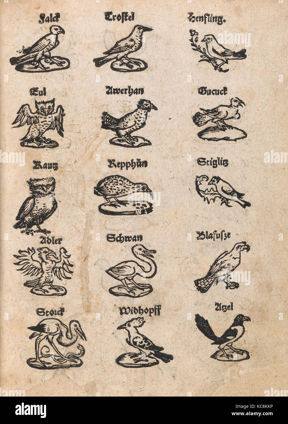 Drawings and Prints, Books Prints Ornament & Architecture, Modelbuch ...