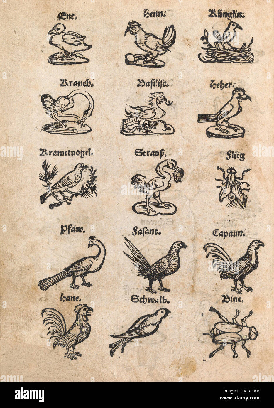 Drawings and Prints, Books Prints Ornament & Architecture, Modelbuch ...