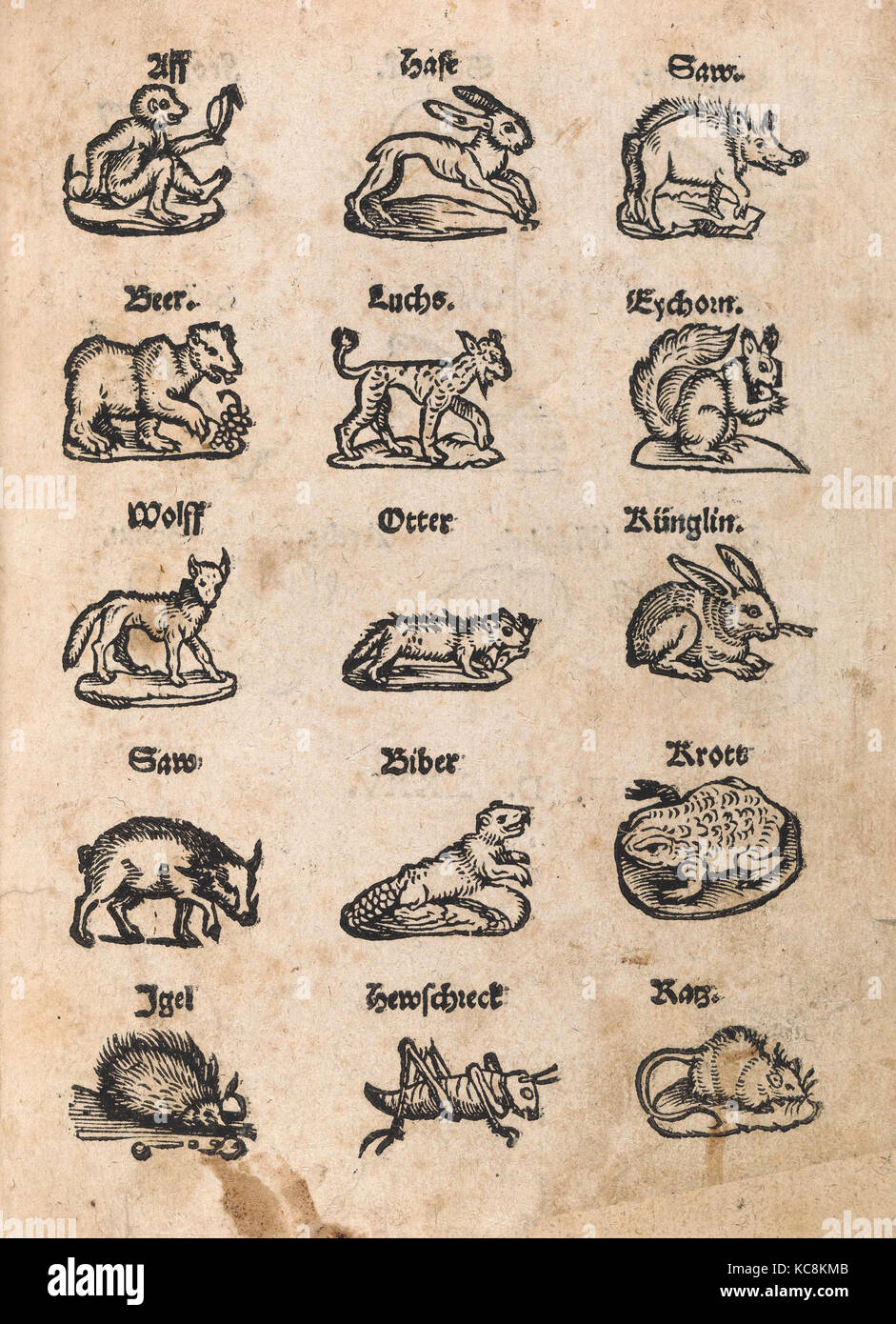 Drawings and Prints, Books Prints Ornament & Architecture, Modelbuch ...