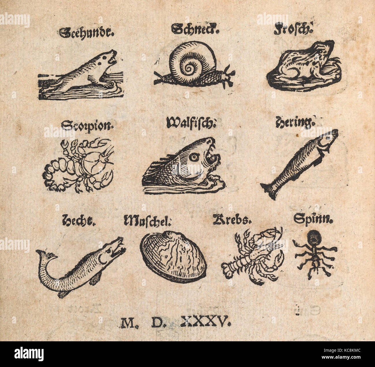 Drawings and Prints, Books Prints Ornament & Architecture, Modelbuch ...