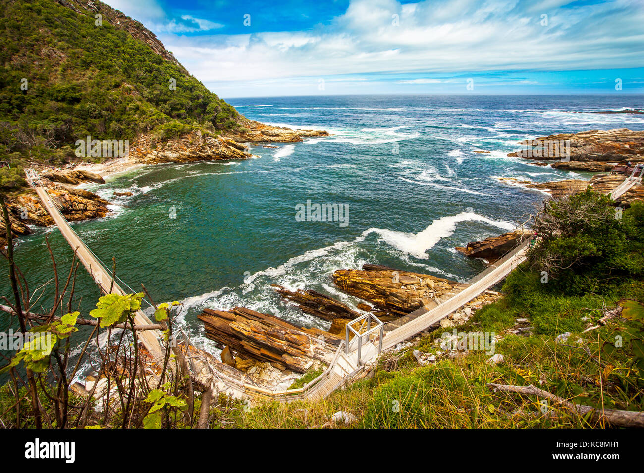 In the Tsitsikamma National Park South Africa Stock Photo - Alamy