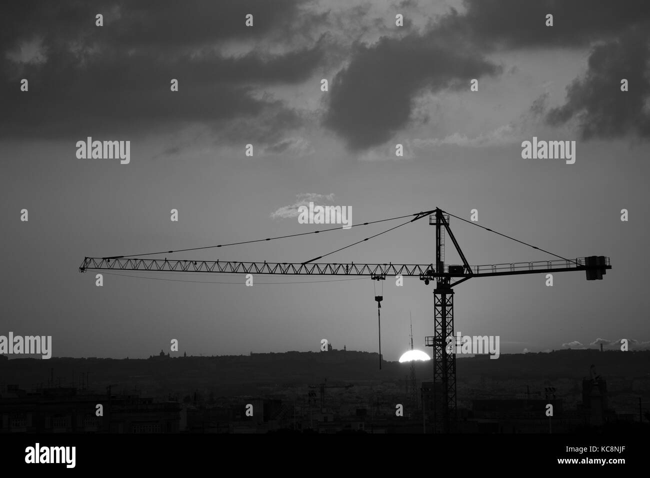 Black and white crane at sunset Stock Photo - Alamy