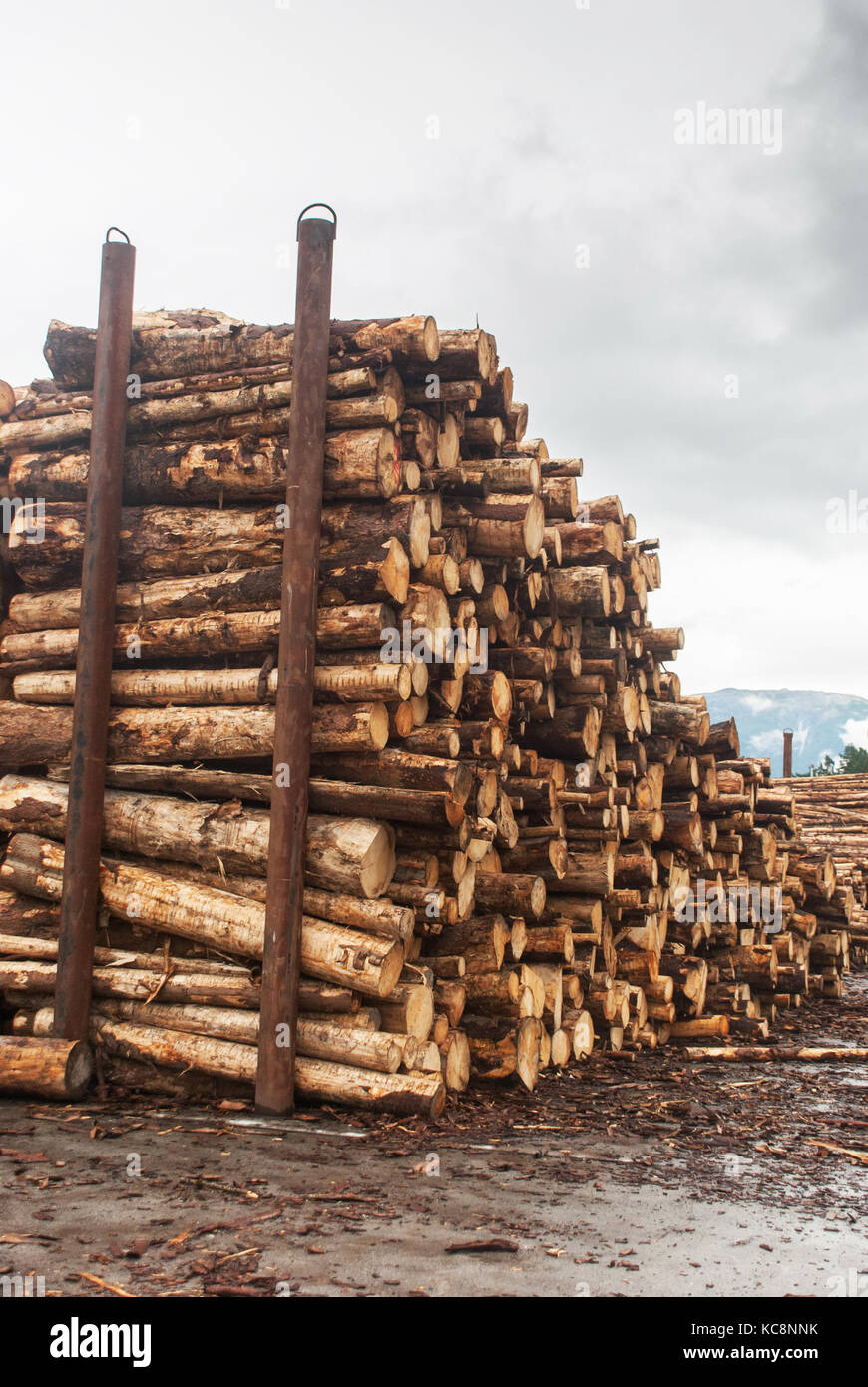 Bale of timber hi-res stock photography and images - Alamy