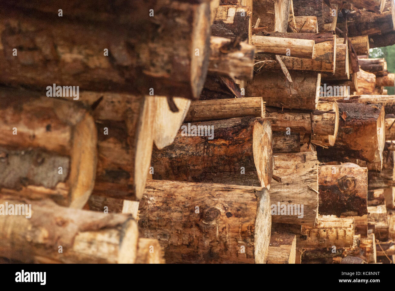 Wood of round timber stacked in a pile at the sawmill Stock Photo - Alamy