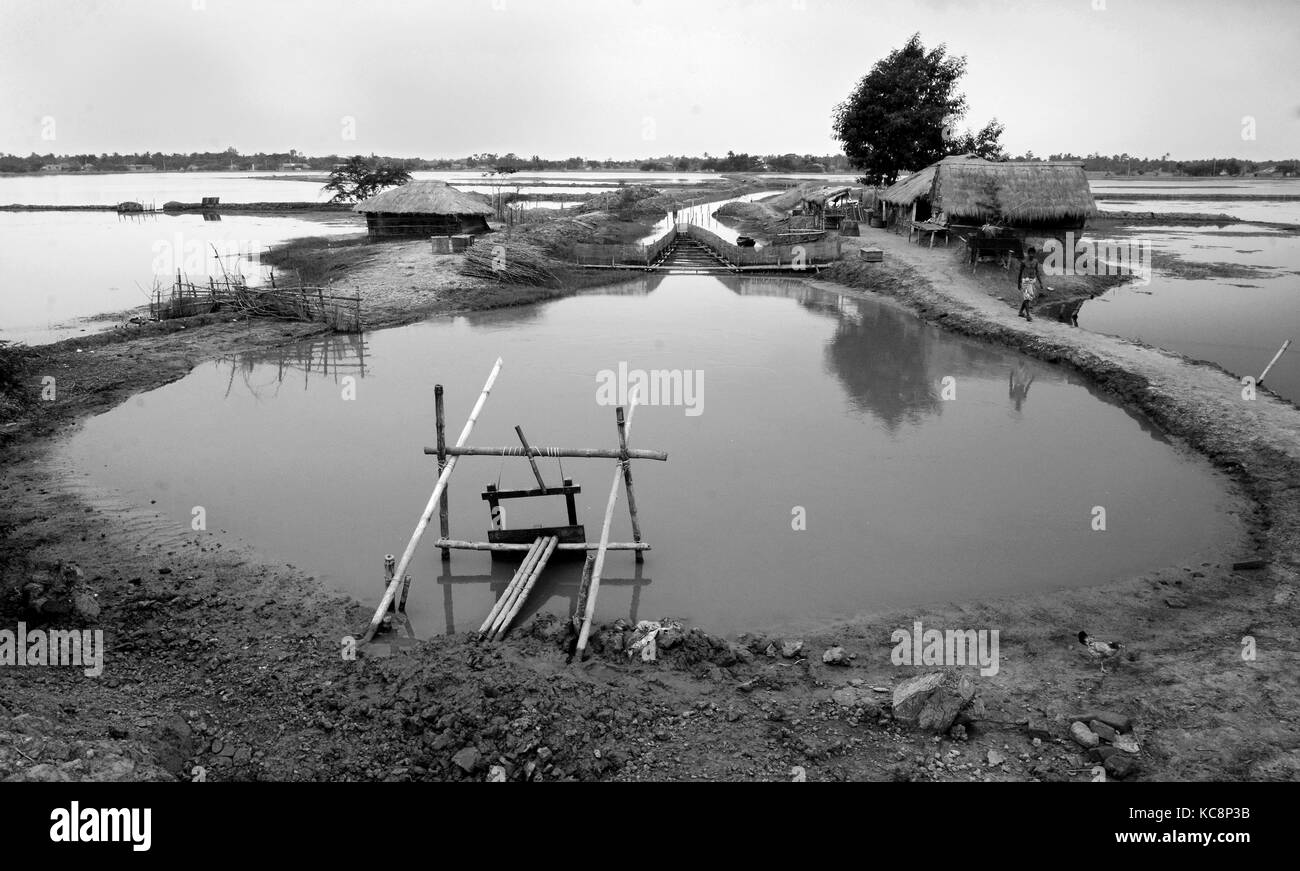 Beauty of sundarban Black and White Stock Photos & Images - Alamy