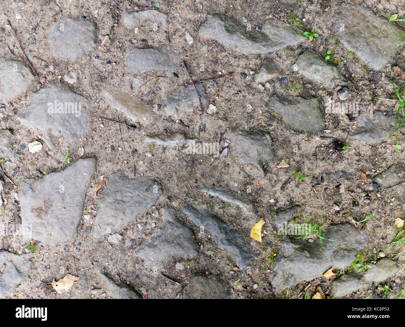 Dirt texture hi-res stock photography and images - Alamy