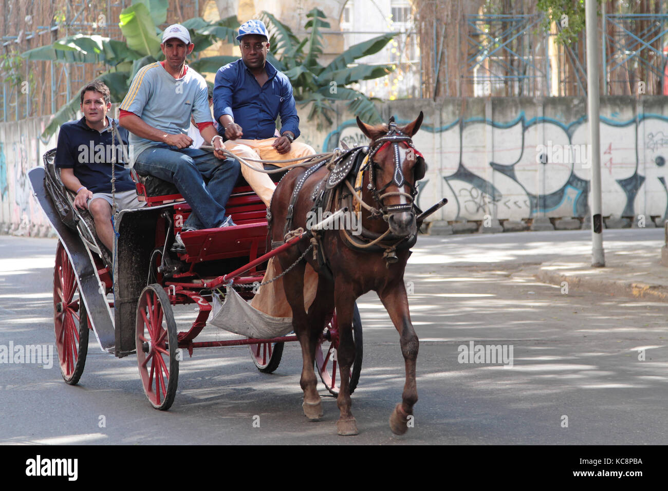 HAVANA, CUBA, FEBRUARY 15, 2014 : Horse-drawn carriage in a street of ...