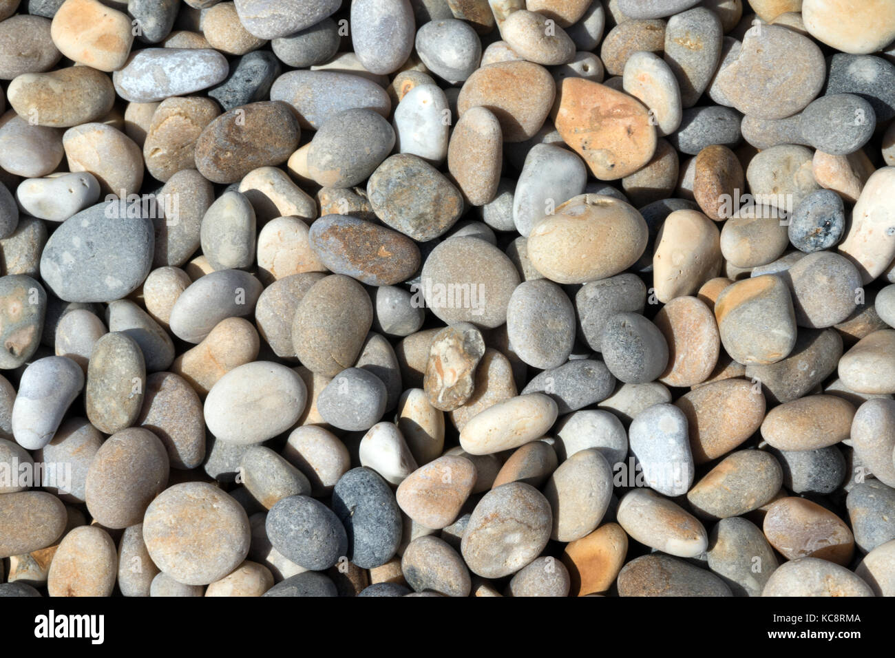 Large pebbles on Chesil Beach at Portland Stock Photo - Alamy