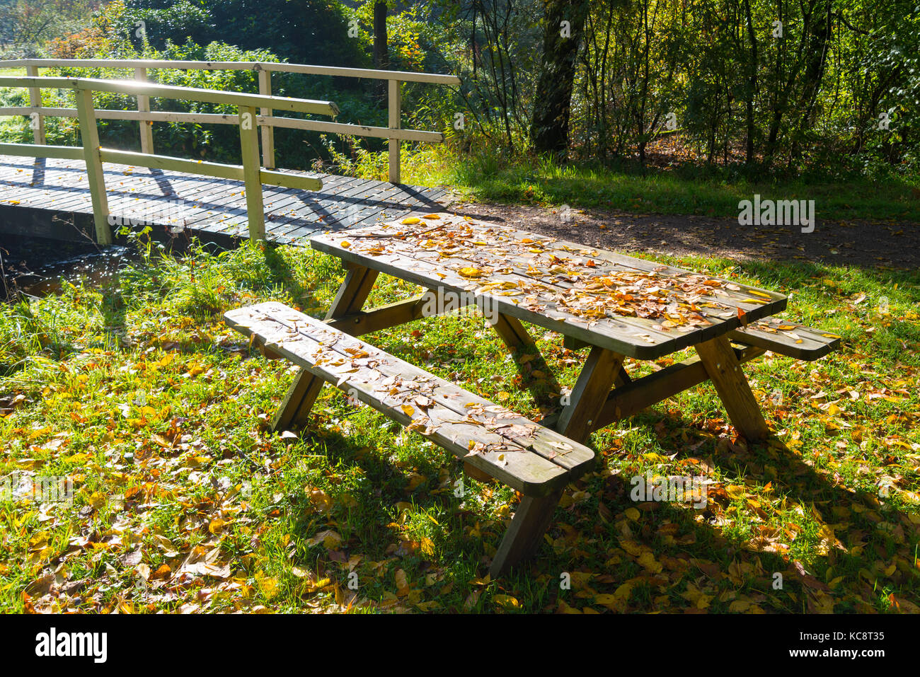 picnic table in an autumn park Stock Photo - Alamy