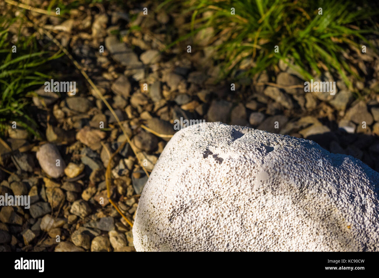 white porous stone lying on the gravel path with green grass, evening ...