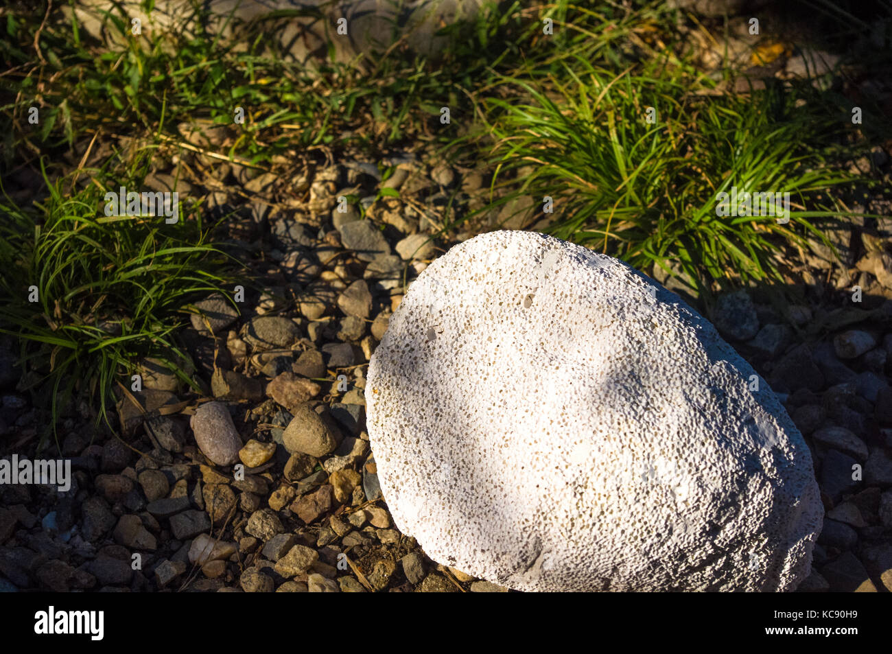 white porous stone lying on the gravel path with green grass, evening ...