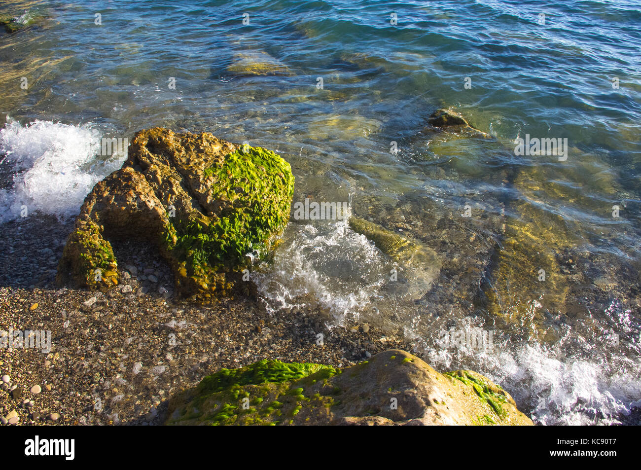 rocky sea shore with with seaweed, transparent waves with foam, on a ...