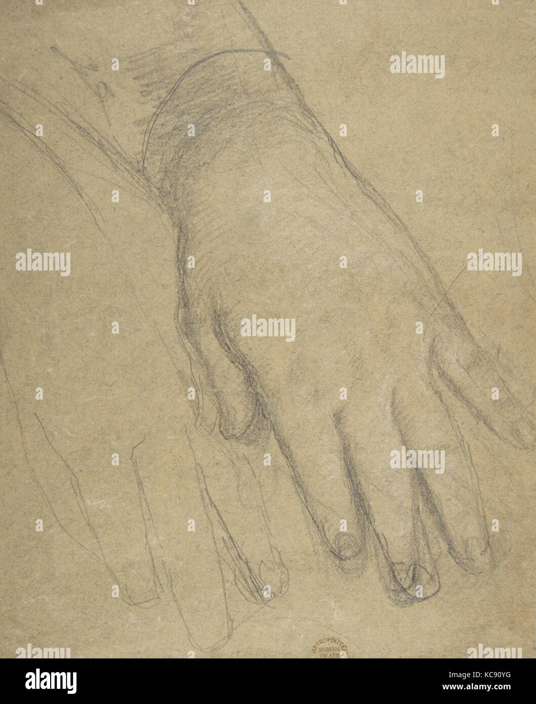 Study of a Hand, Anonymous, French, 19th century, 19th century Stock ...