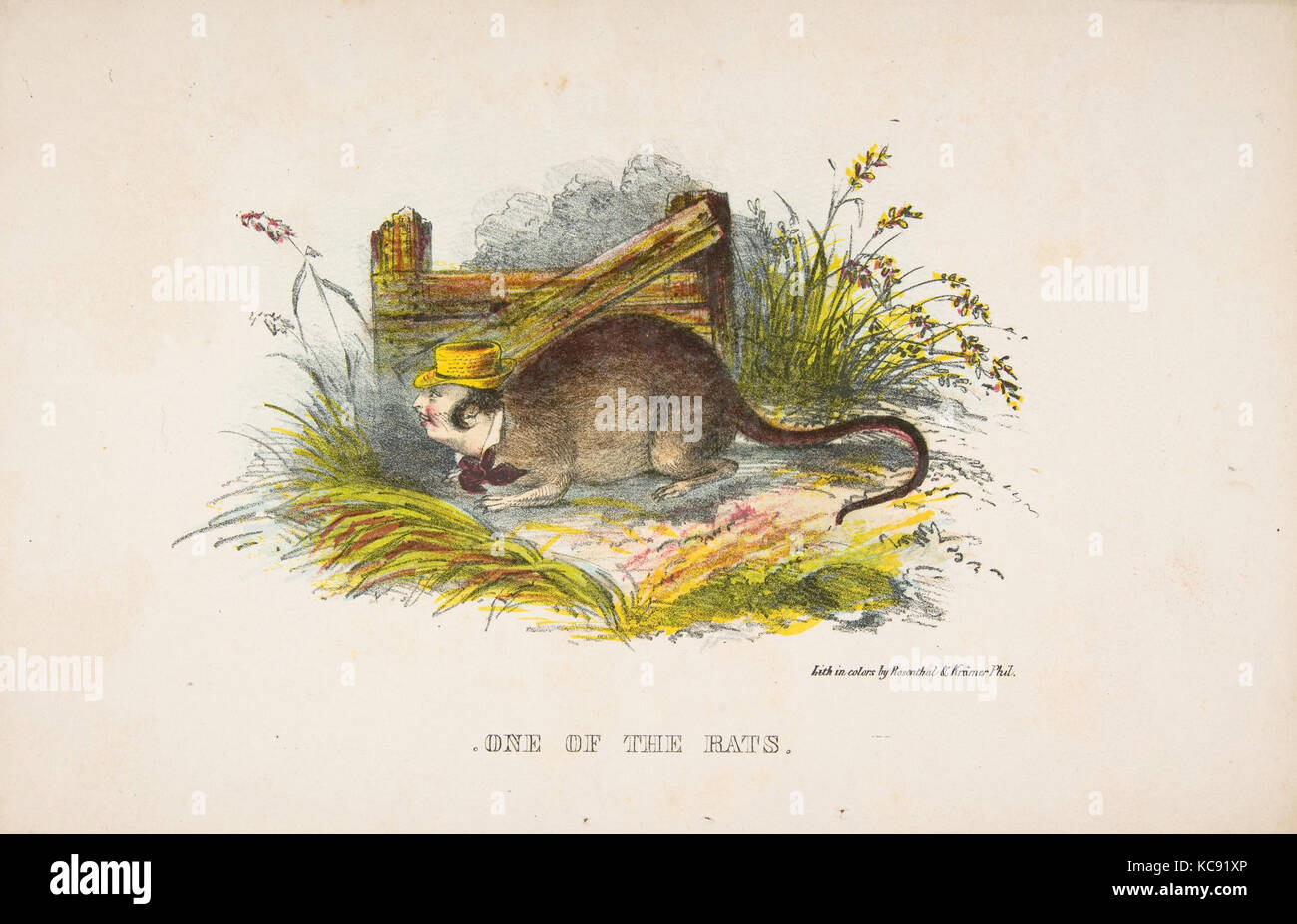 One of the Rats, from The Comic Natural History of the Human Race ...