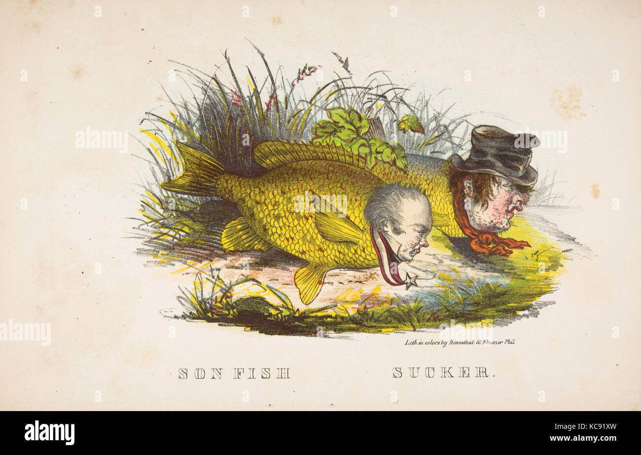 Henry the fish hi-res stock photography and images - Alamy