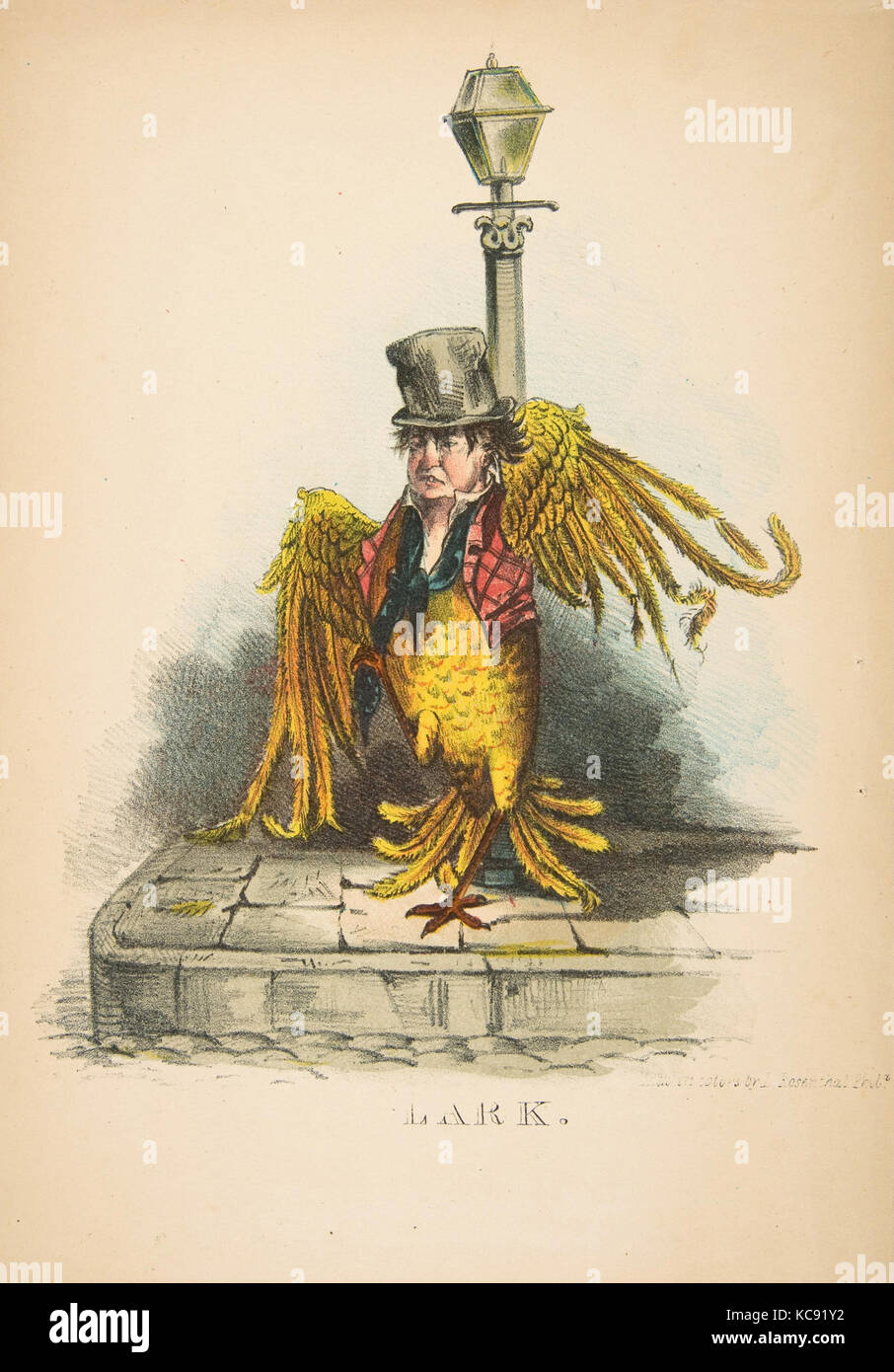 Lark, from The Comic Natural History of the Human Race, Henry Louis ...