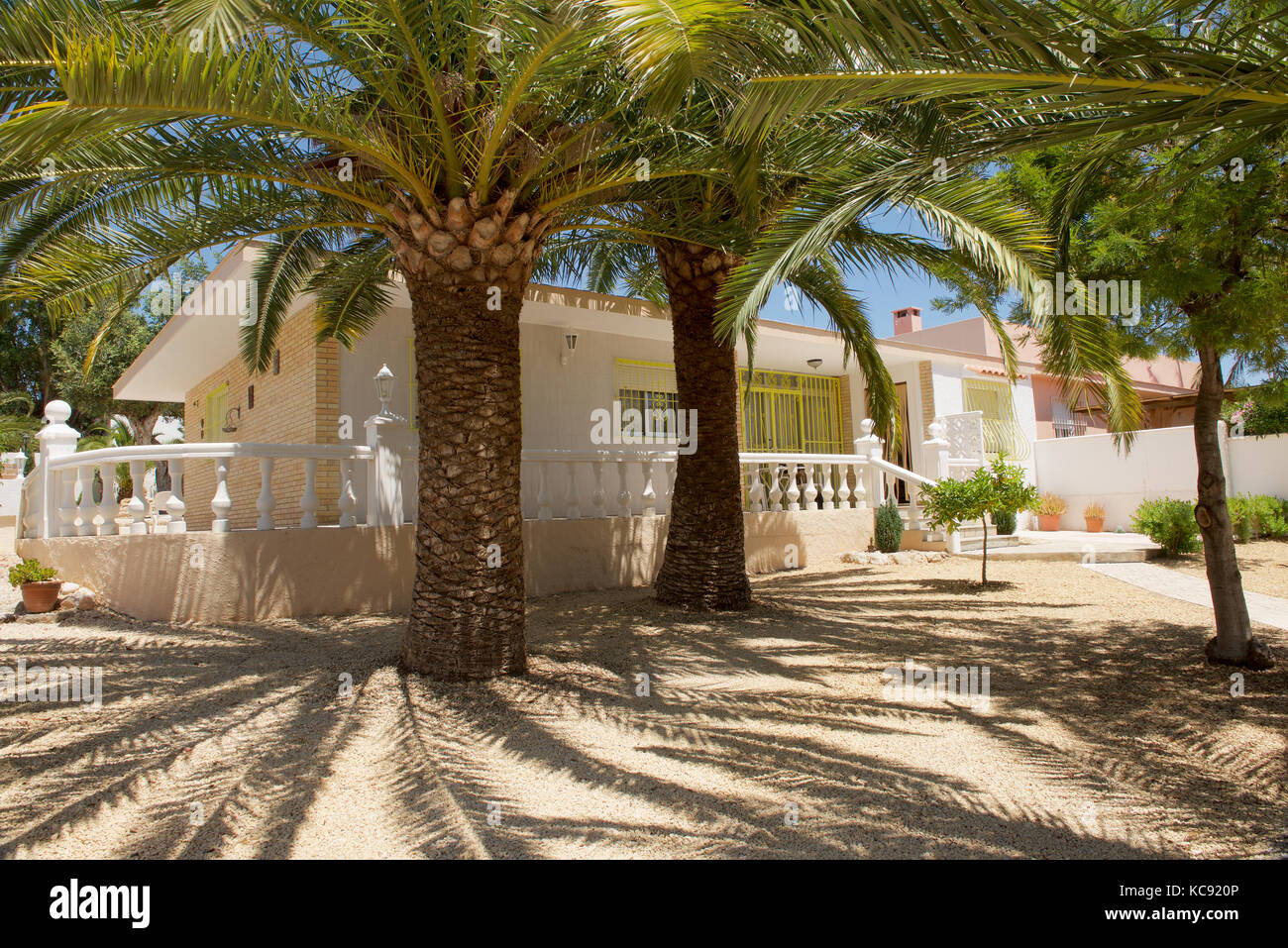 Villa and Palm trees in the garden Stock Photo - Alamy