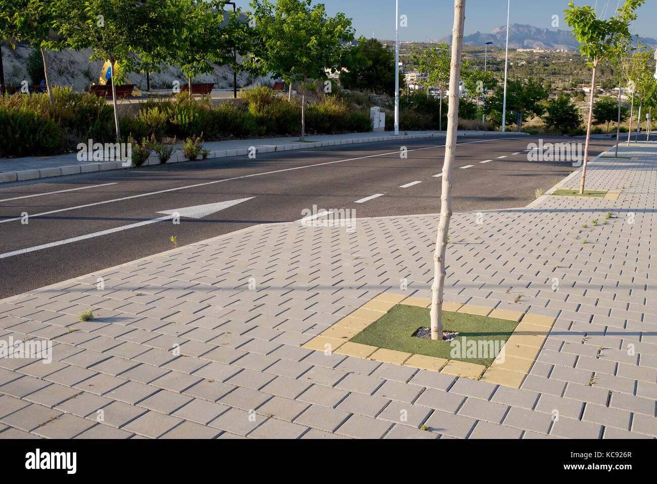 Empty road and footpath with trees Stock Photo - Alamy