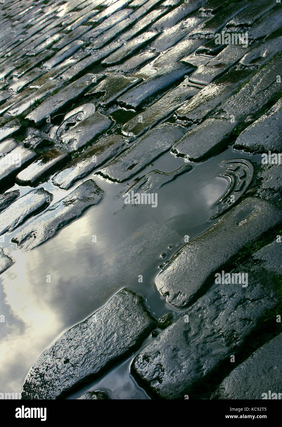 Rain and wet pavement on a street in France Stock Photo - Alamy
