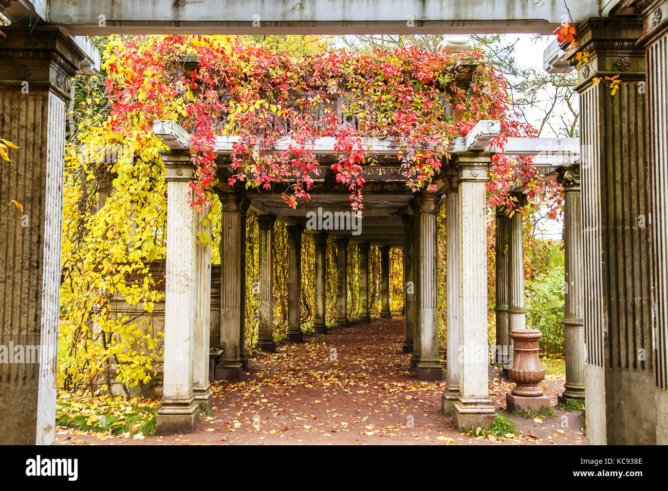 Beautiful autumn park, Pushkin. Suburb of St. Petersburg Stock Photo ...