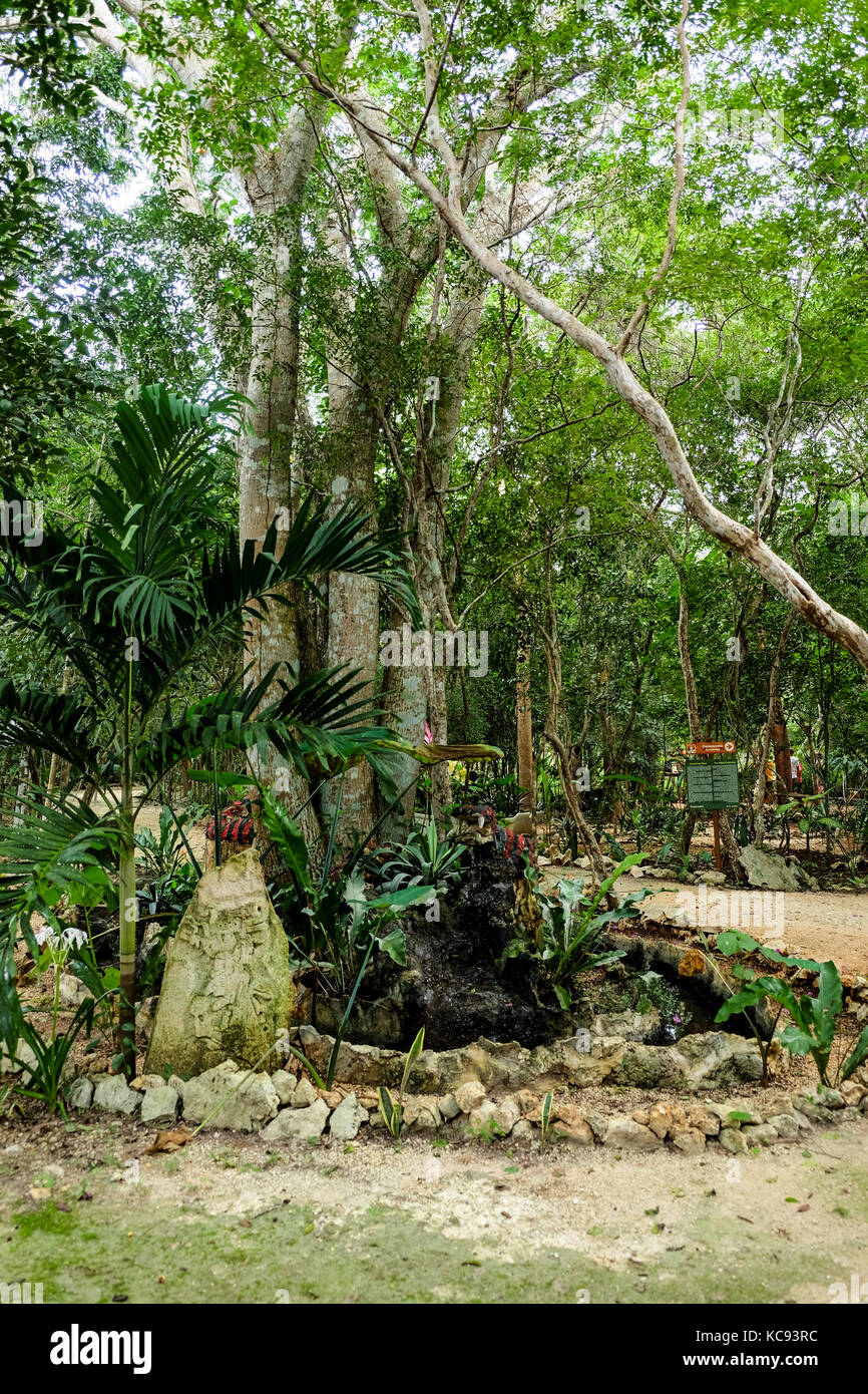 Yucatan Garden High Resolution Stock Photography and Images - Alamy