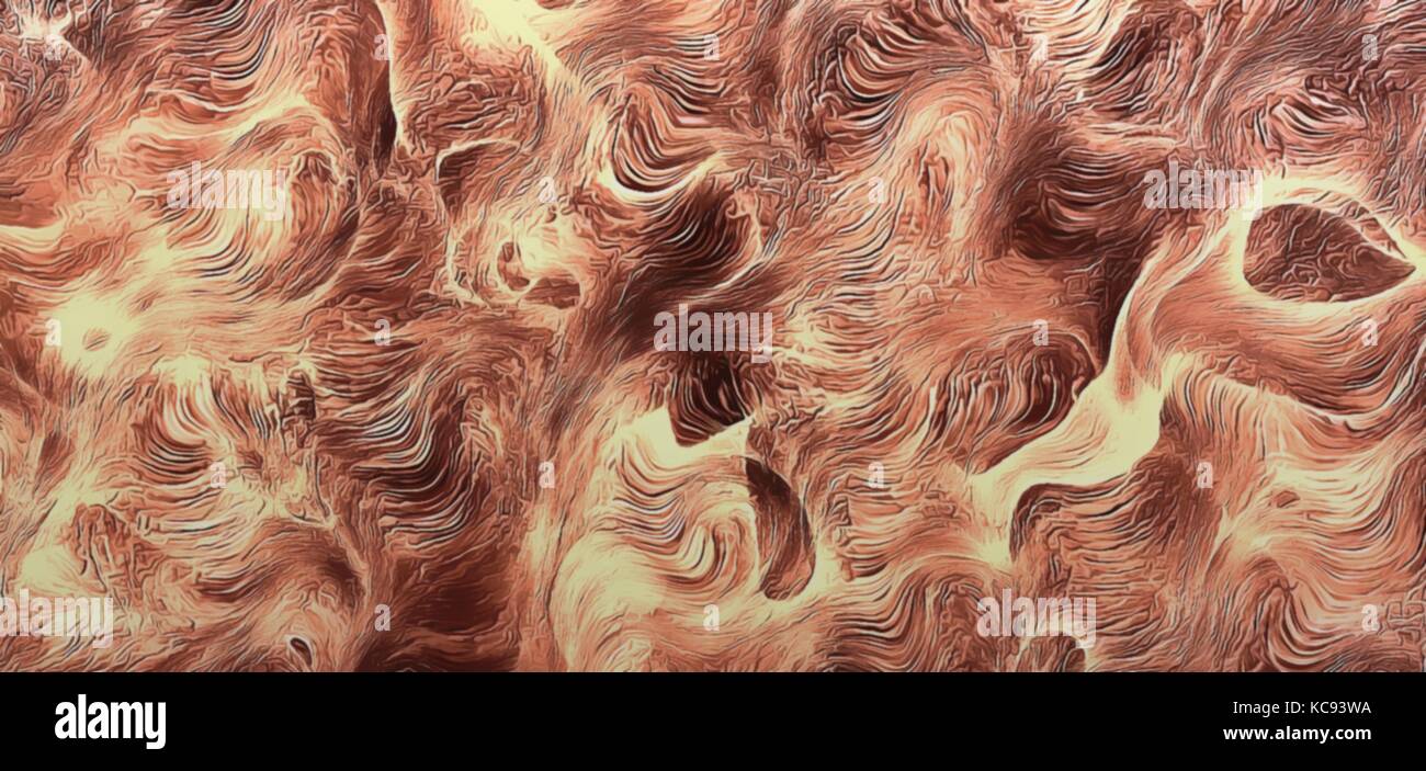 Abstract swirl cobweb texture .fantasy fractal background in orange ...