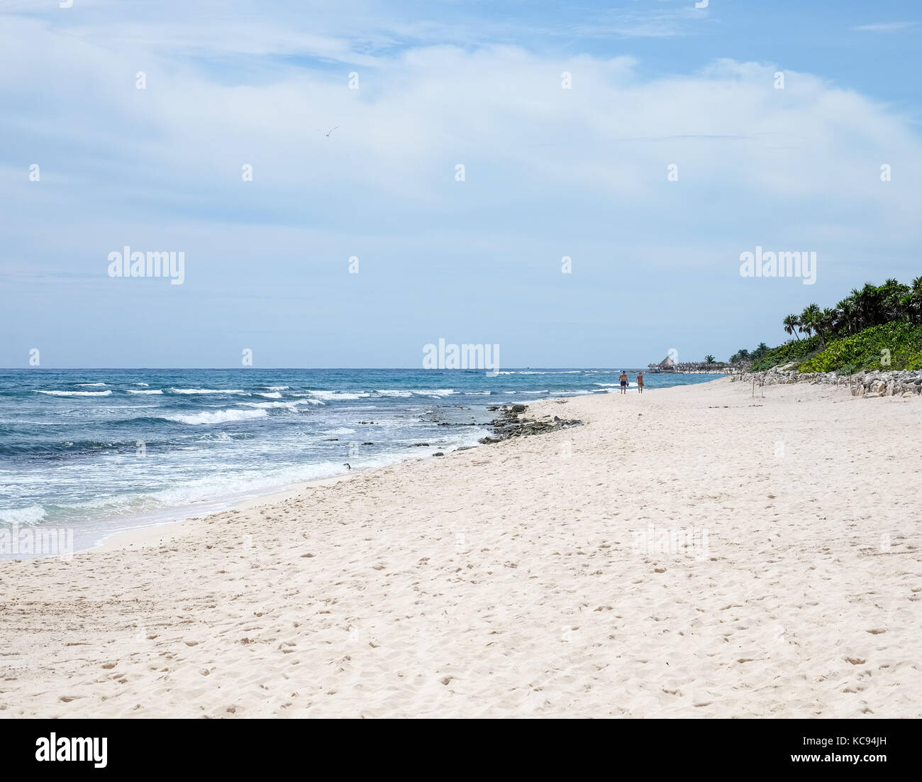 Landscape view of the beach and sea in Tulum Mexico Stock Photo - Alamy